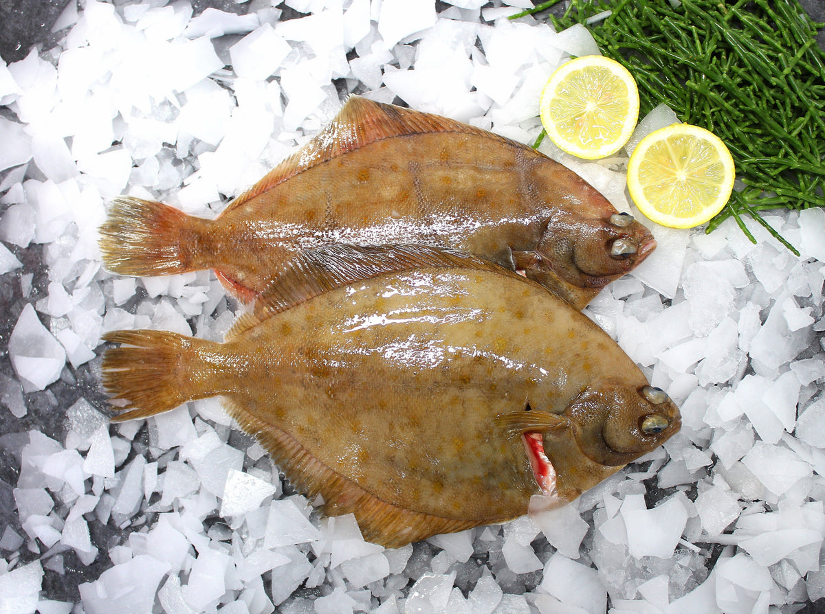 Fresh Local Dabs – S&J Fisheries