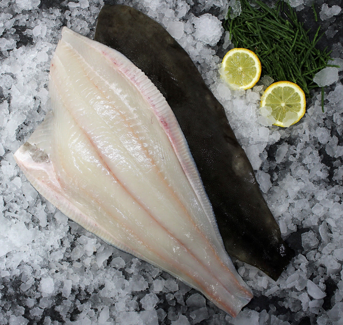 Fresh Halibut – S&J Fisheries