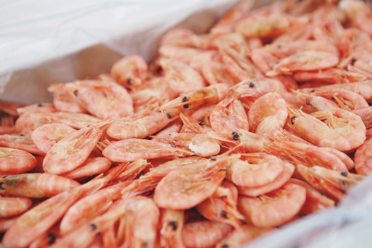 Cooked Shell-On Prawns – S&J Fisheries