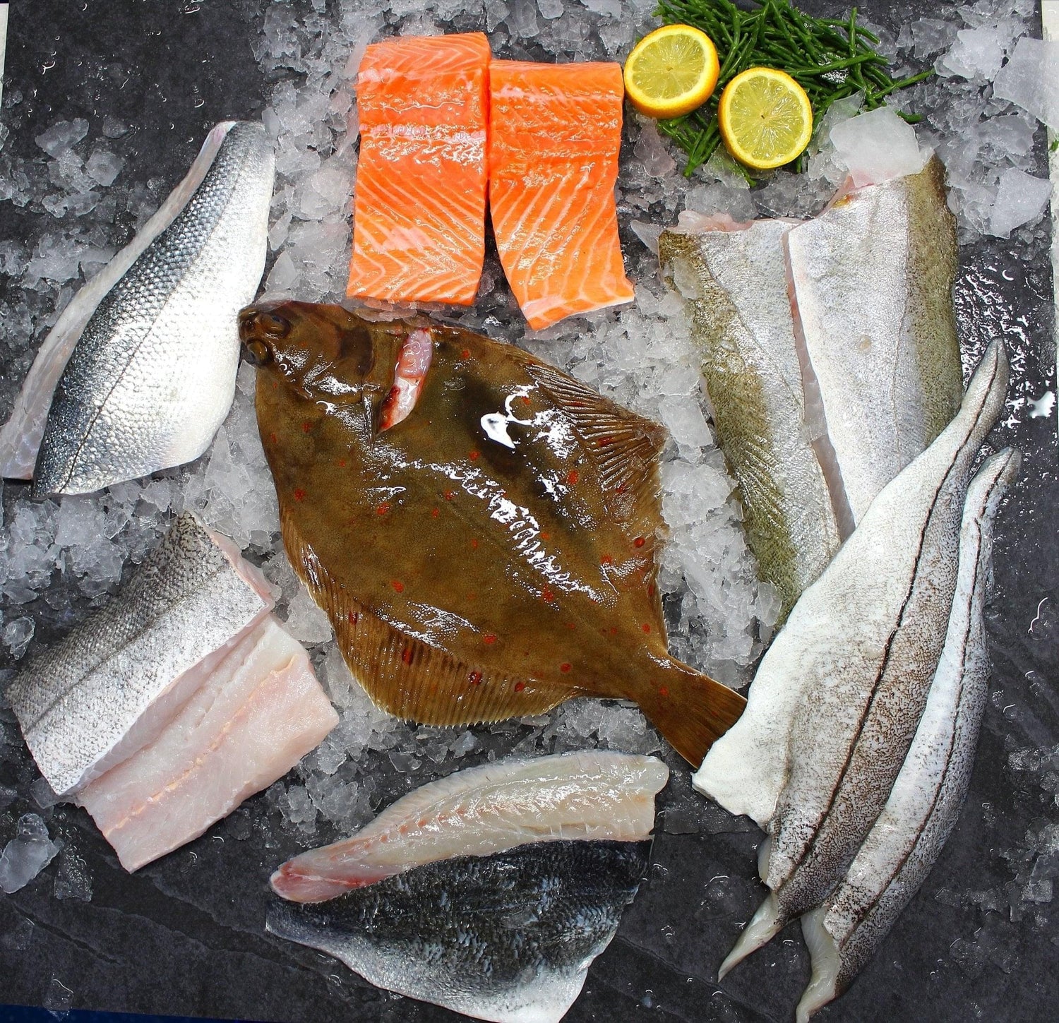 S&J Fisheries Ltd / Fish / Seafood / Wholesale / Fresh Fish / Frozen