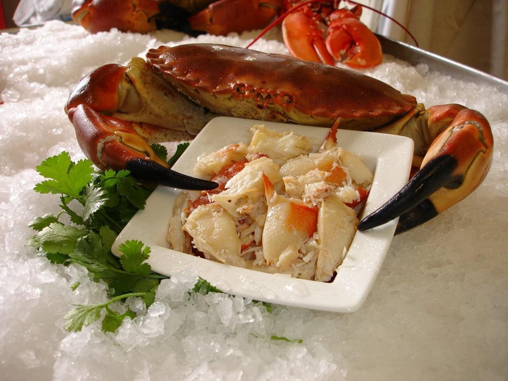 Fresh Deluxe Hand-Picked Crab Claw Meat – S&J Fisheries