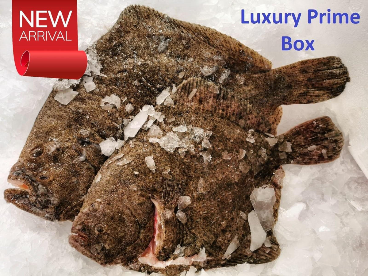 "Luxury Prime Box!" – S&J Fisheries
